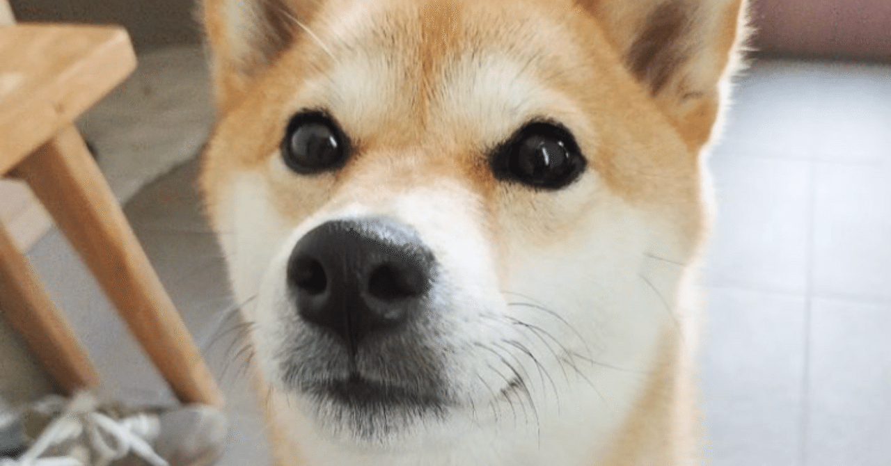 母と過ごす時間｜723nk