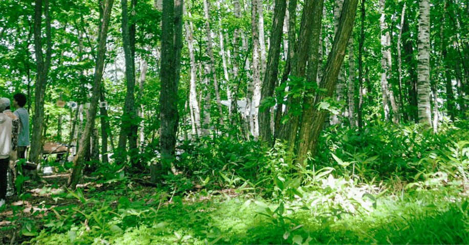 Naoto IWASHITA｜note