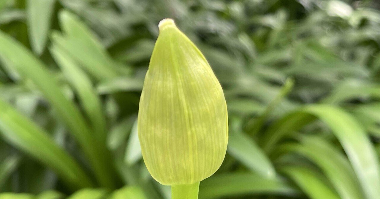 SENRI OE 大江千里｜note