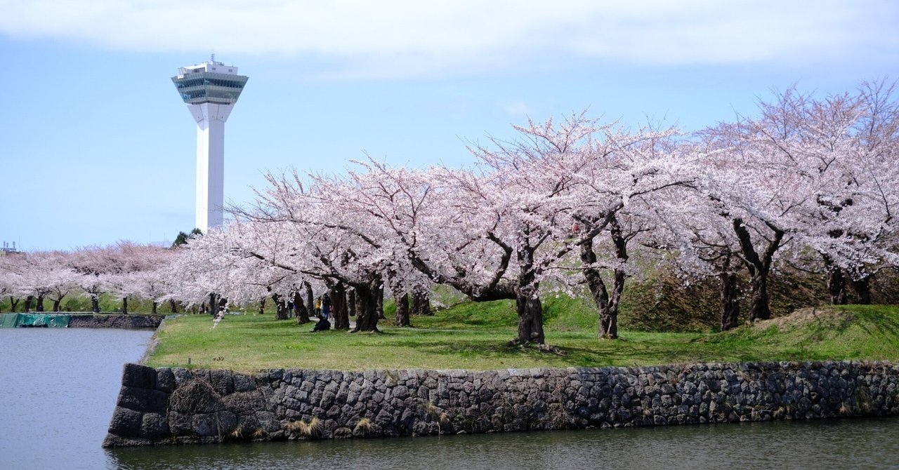 自己紹介｜ozaki kosuke