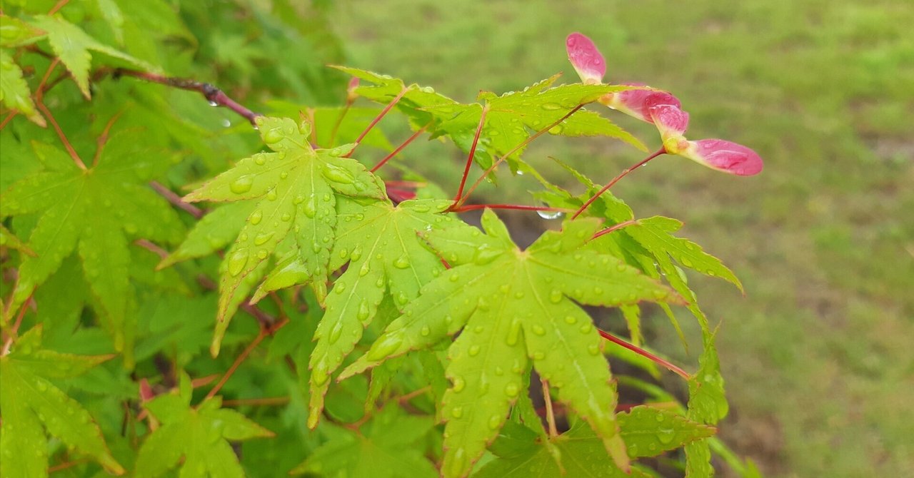 虹の彼方から Bright day EIKO｜note