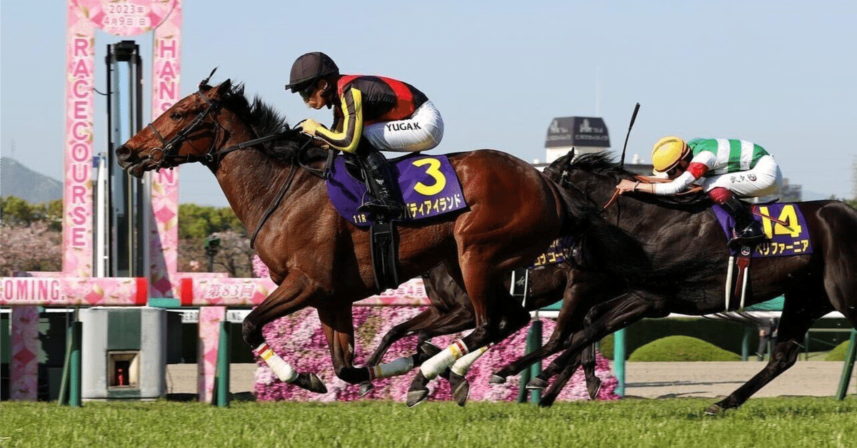 帝王賞競走(Jpn1)地方競馬 大井競馬予想2024/6/26｜ひまわり厨#フォロバ100％