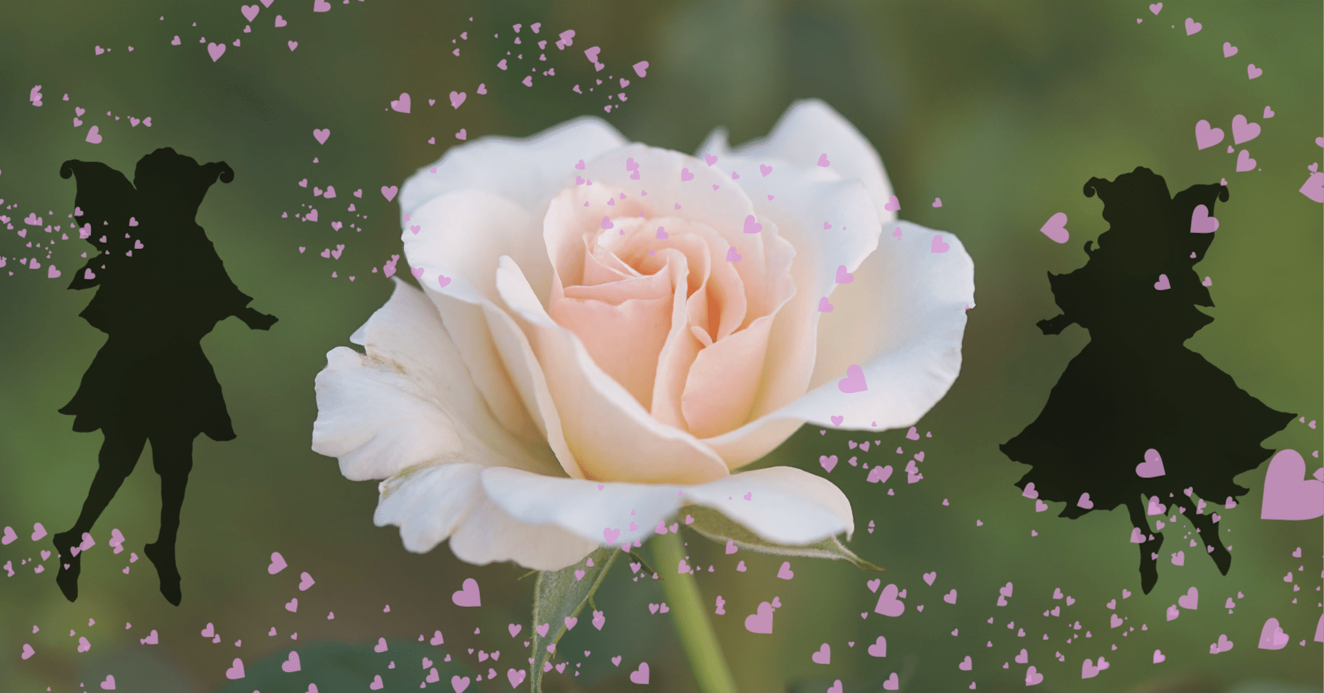 Roria's Moonroom｜note