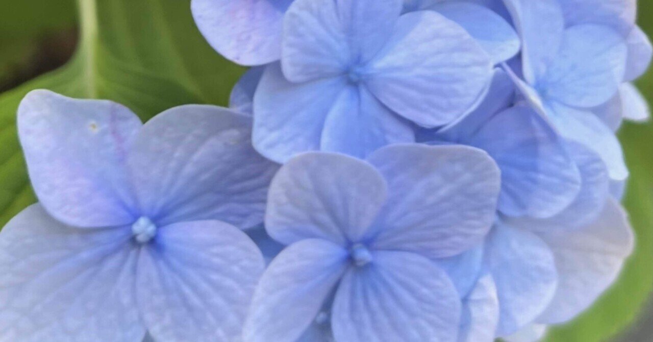 ジブンnote始めます｜yukinoko