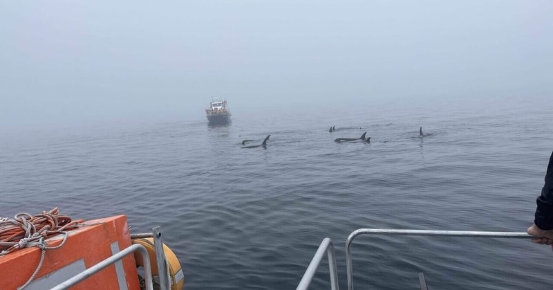 Mika Endo｜ライター｜note