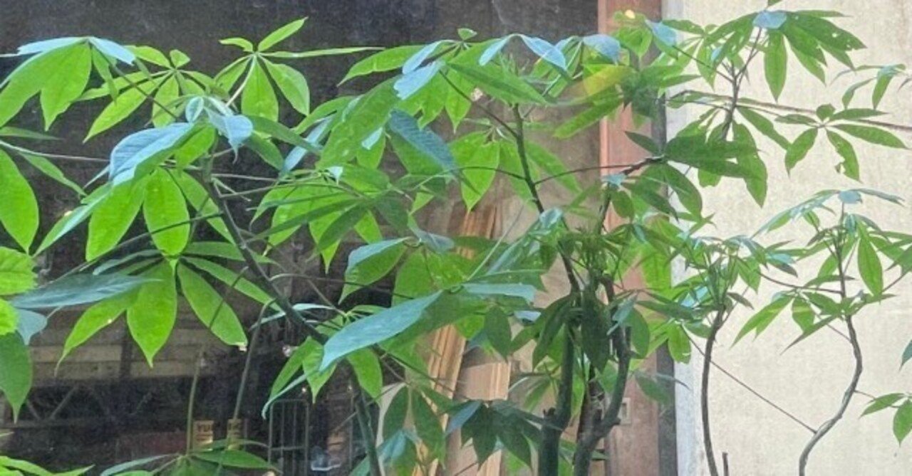 自分の感受性すら｜putoli