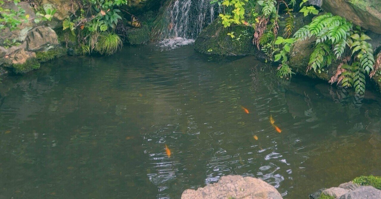 Day37 ドライカレー色の髪の日｜neomiz