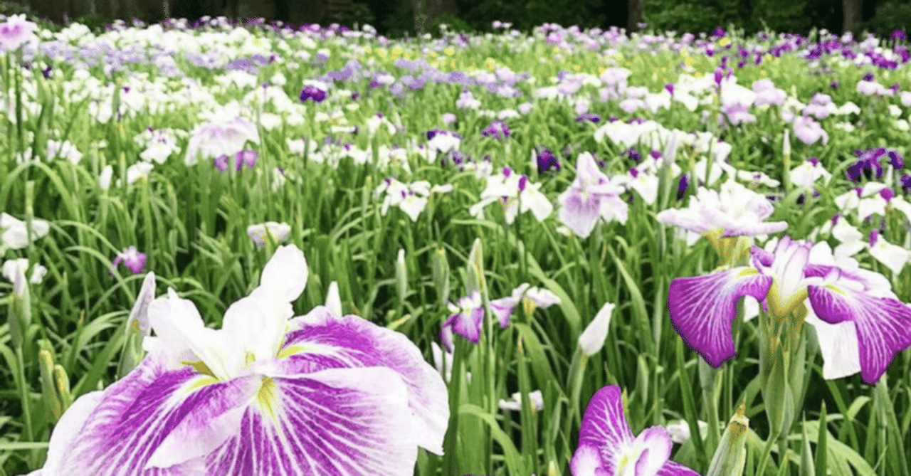 Distribution Release: Tails 6.4｜blue06_2022