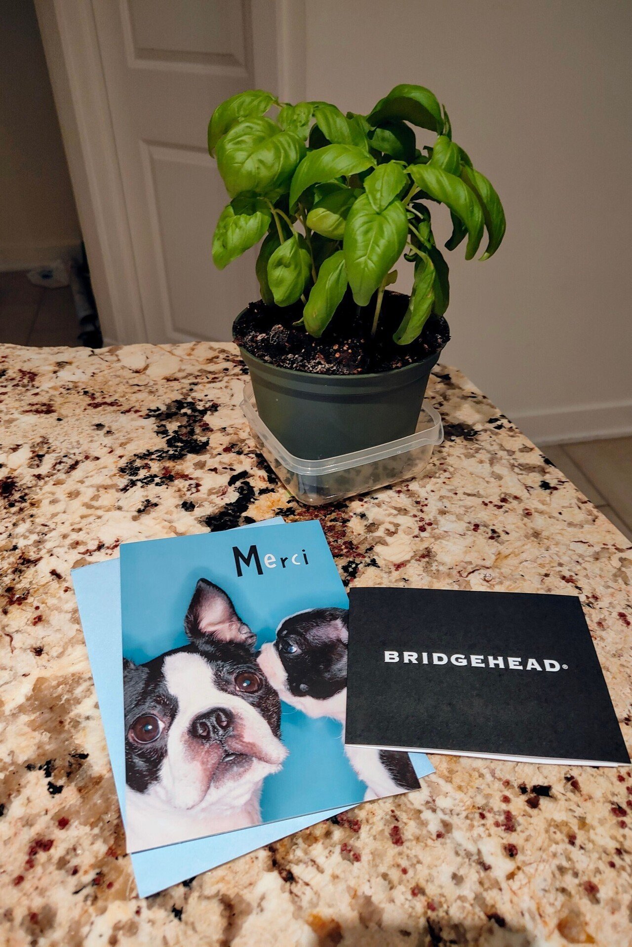 eiko@カナダ｜note