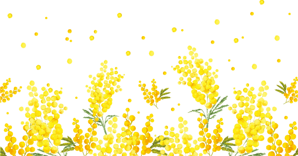 みも＠ADHD×HSP｜note