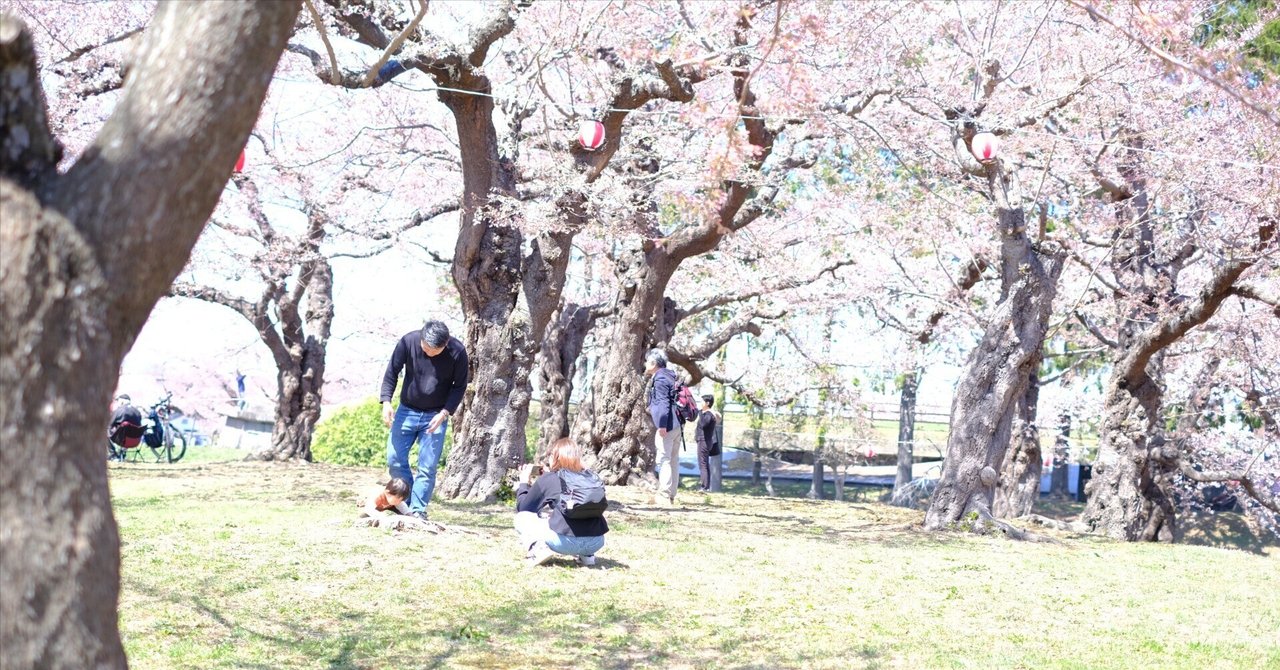 日記 今日の出来事｜ozaki kosuke