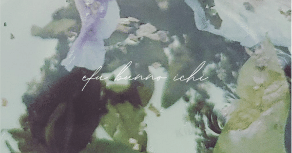 efu bunnno ichi｜note