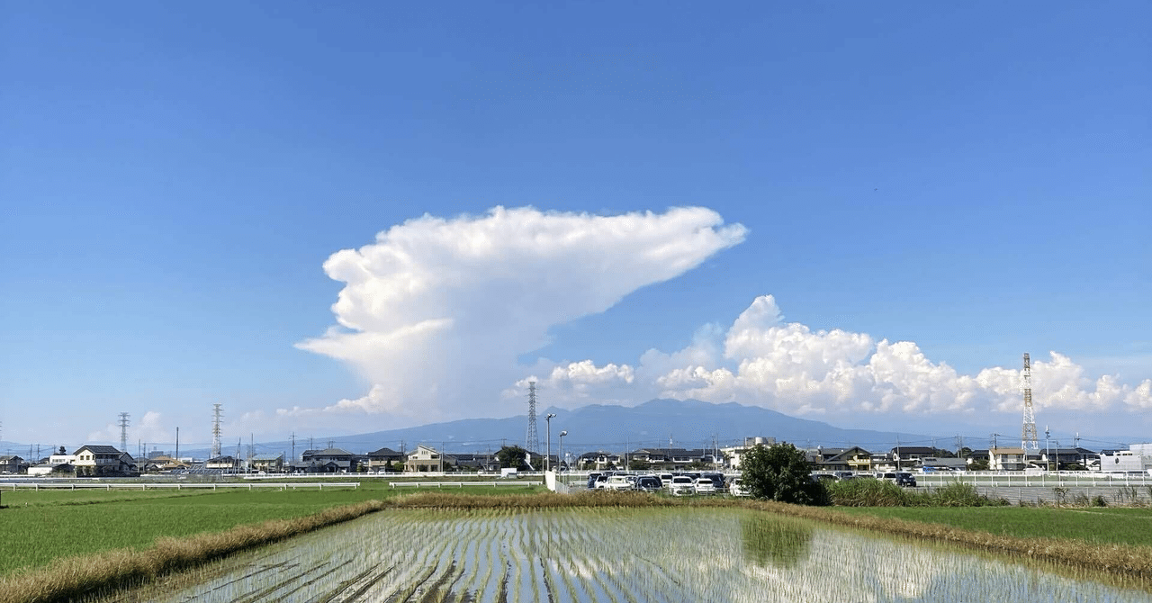 都会から田舎へ｜anzu