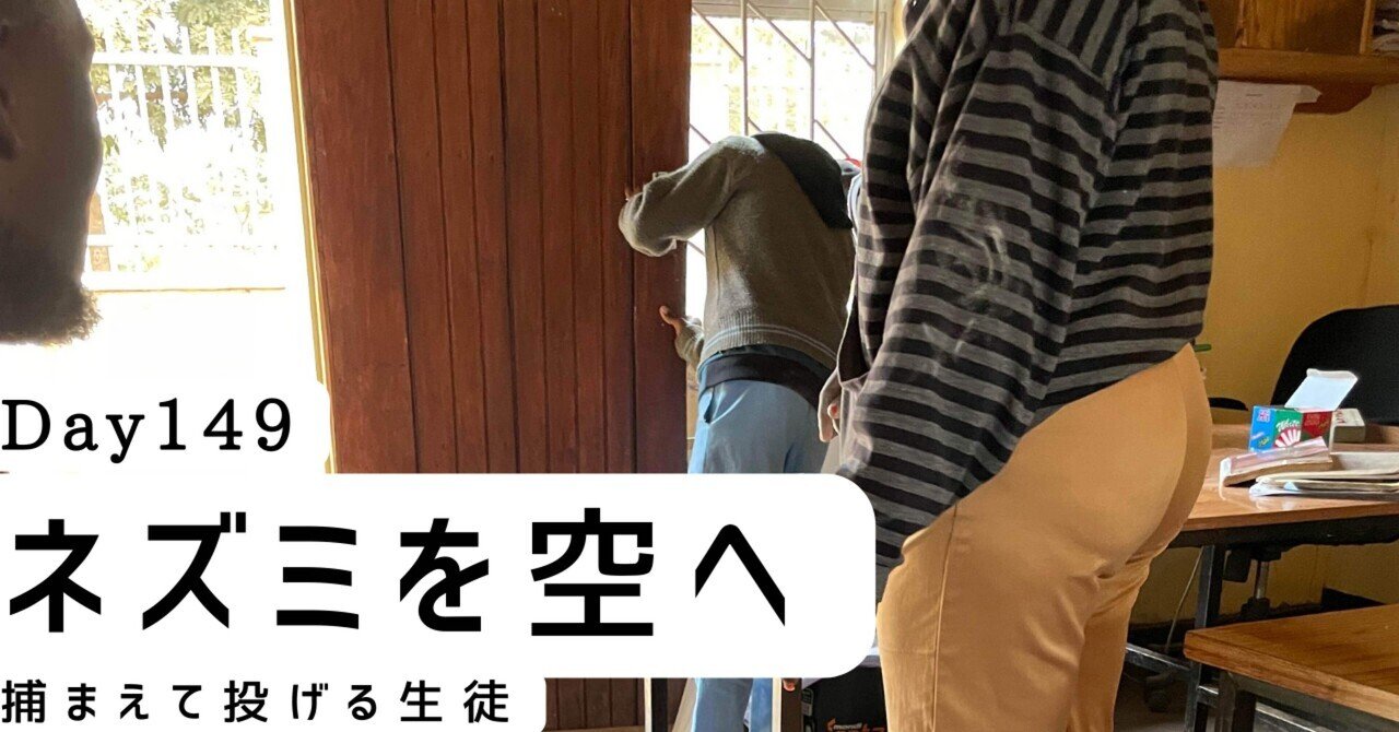 【Day149】ネズミを空へ｜K🇲🇼JOCV2023-3