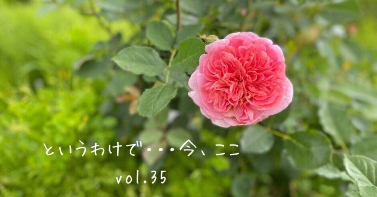 日本をたって30時間、まだジョージアにつかない｜Peco Otaki（大多喜ぺこ）