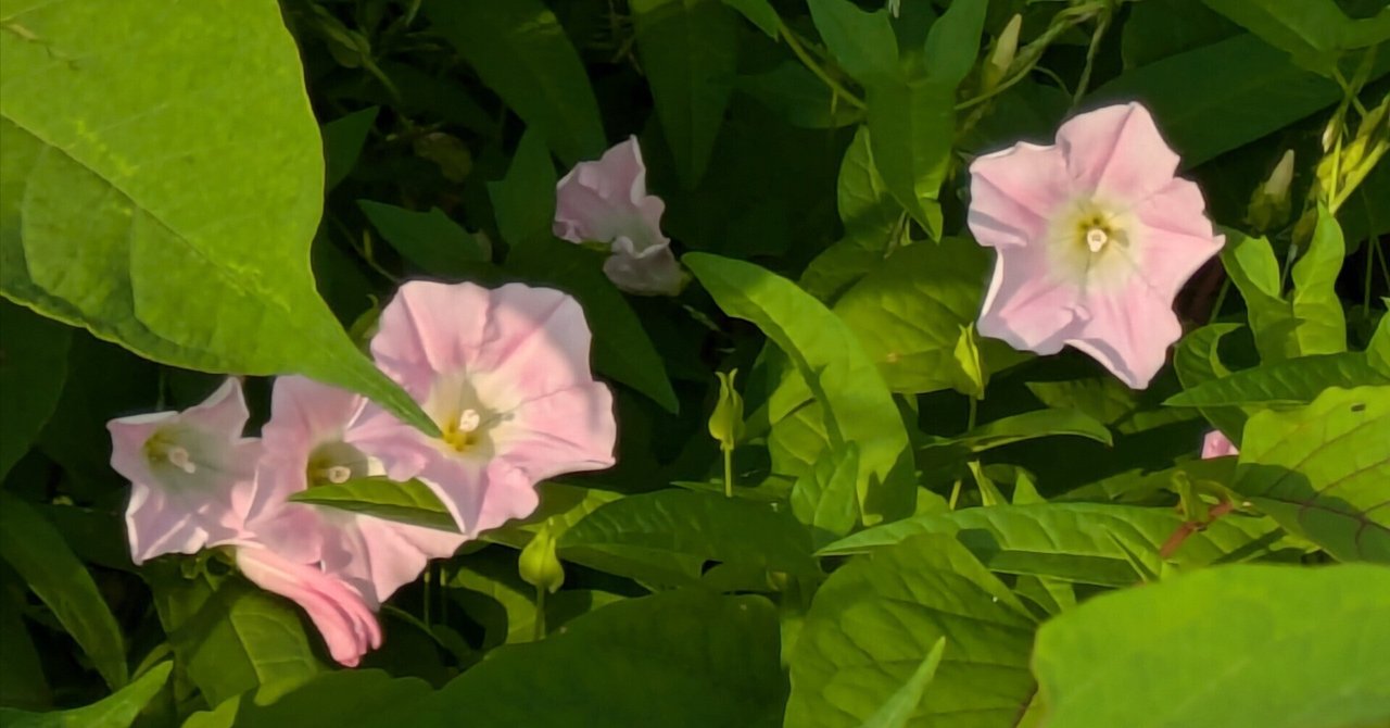 第3巻329番~作者 大伴四綱｜ichiro70