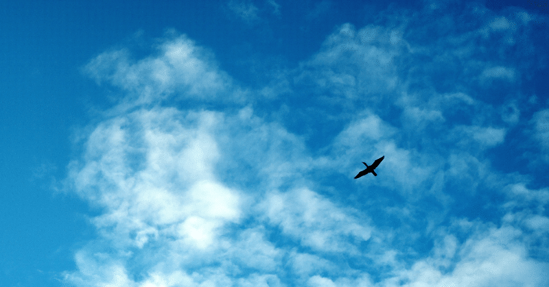 私の望む世界 ～Be Free～｜Mayumi Nishimura