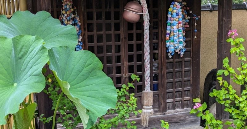 UNWIND&KOMOREBI｜note