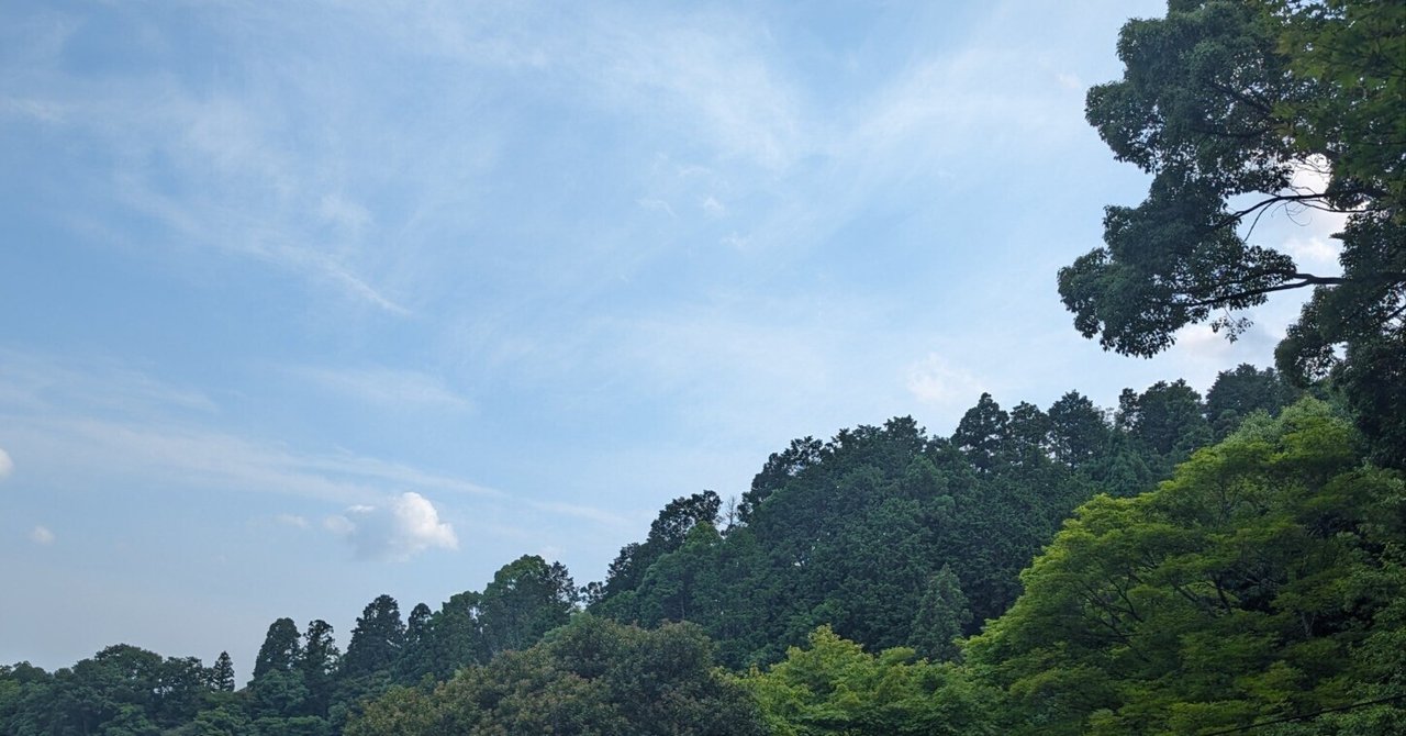 【Short】Mass-product likes making pancake｜Nagi