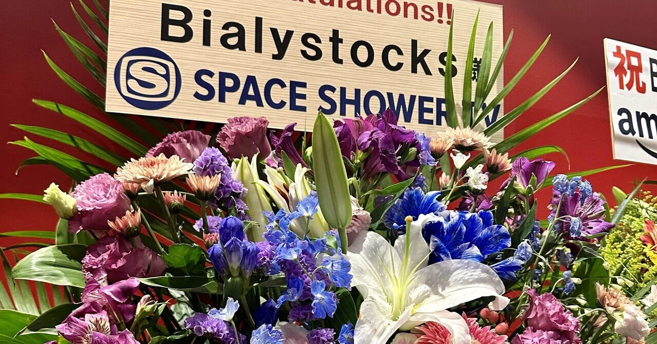 110分の作品ーBialystocks Tour 2024に行って｜ぎな
