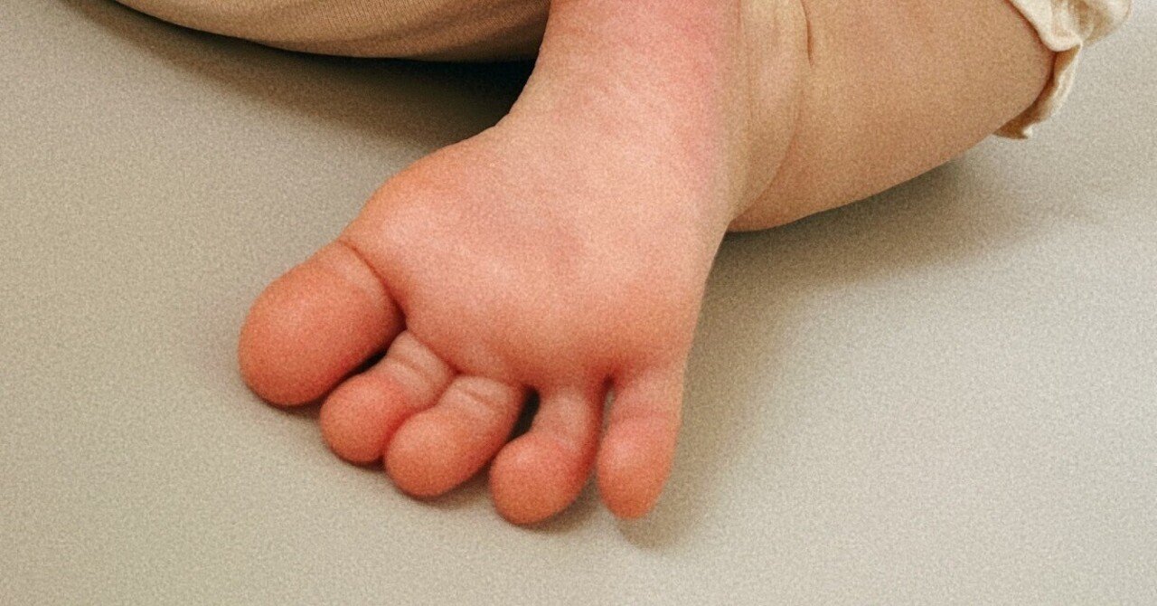 生後346日目｜yanagi