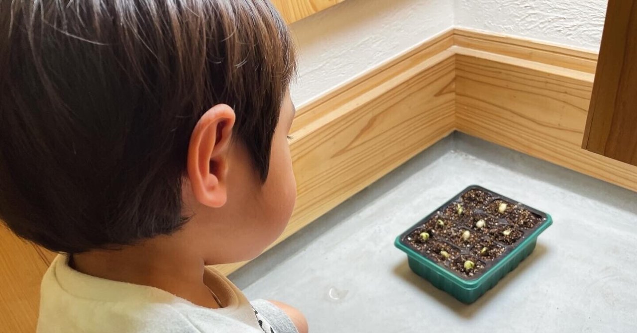 今年は枝豆も壊滅的なんだけど。。。｜plm_kurashi