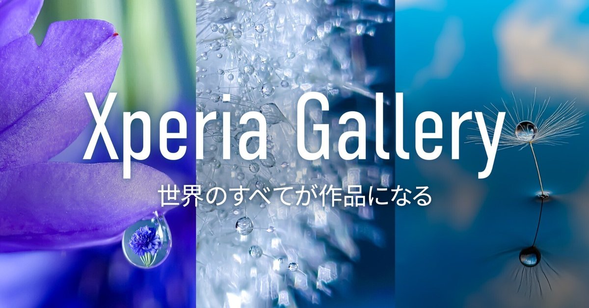 こだわりの写真集「Xperia Gallery」｜EmuLog＠在宅ワーク&ガジェット好き&物欲解放の備忘録