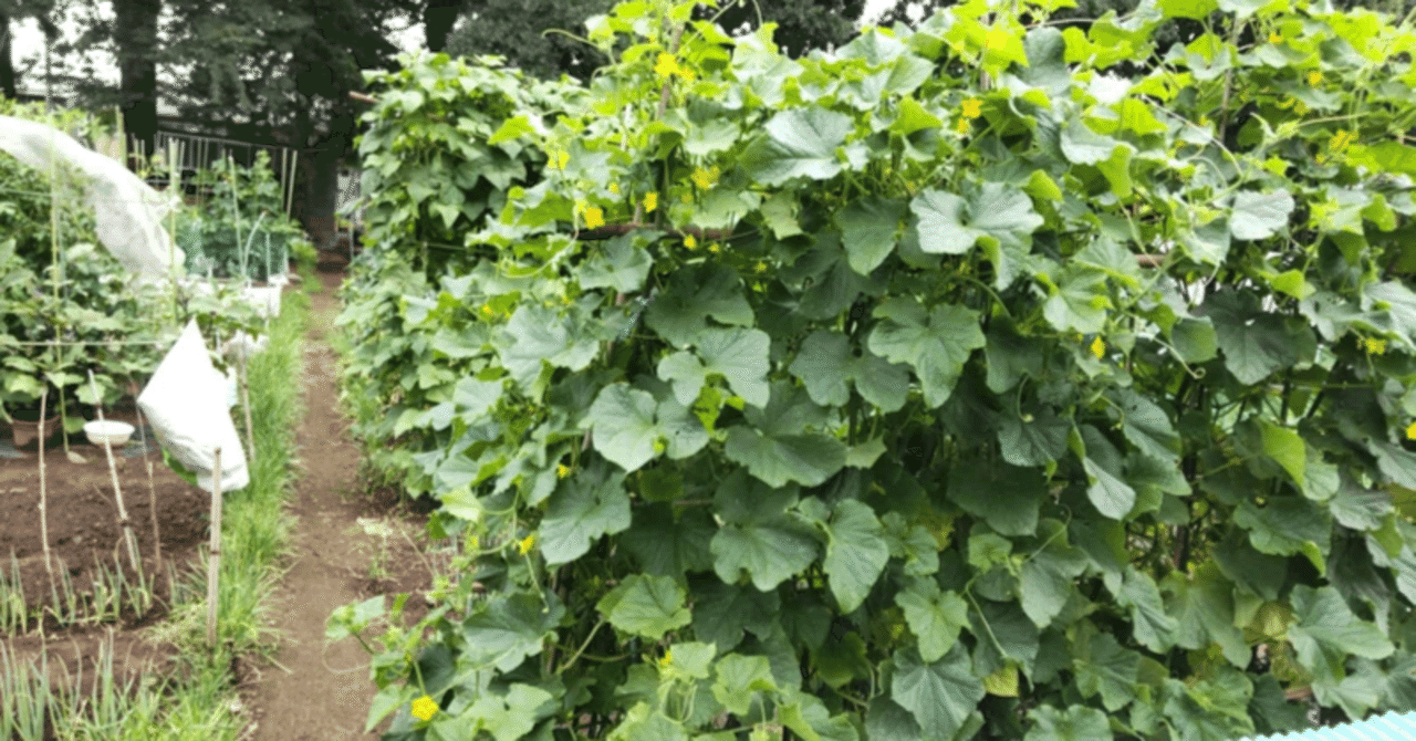 [pandas超入門] no1｜blue06_2022