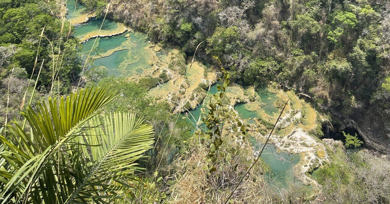 スポーツは、素晴らしい｜wakaba