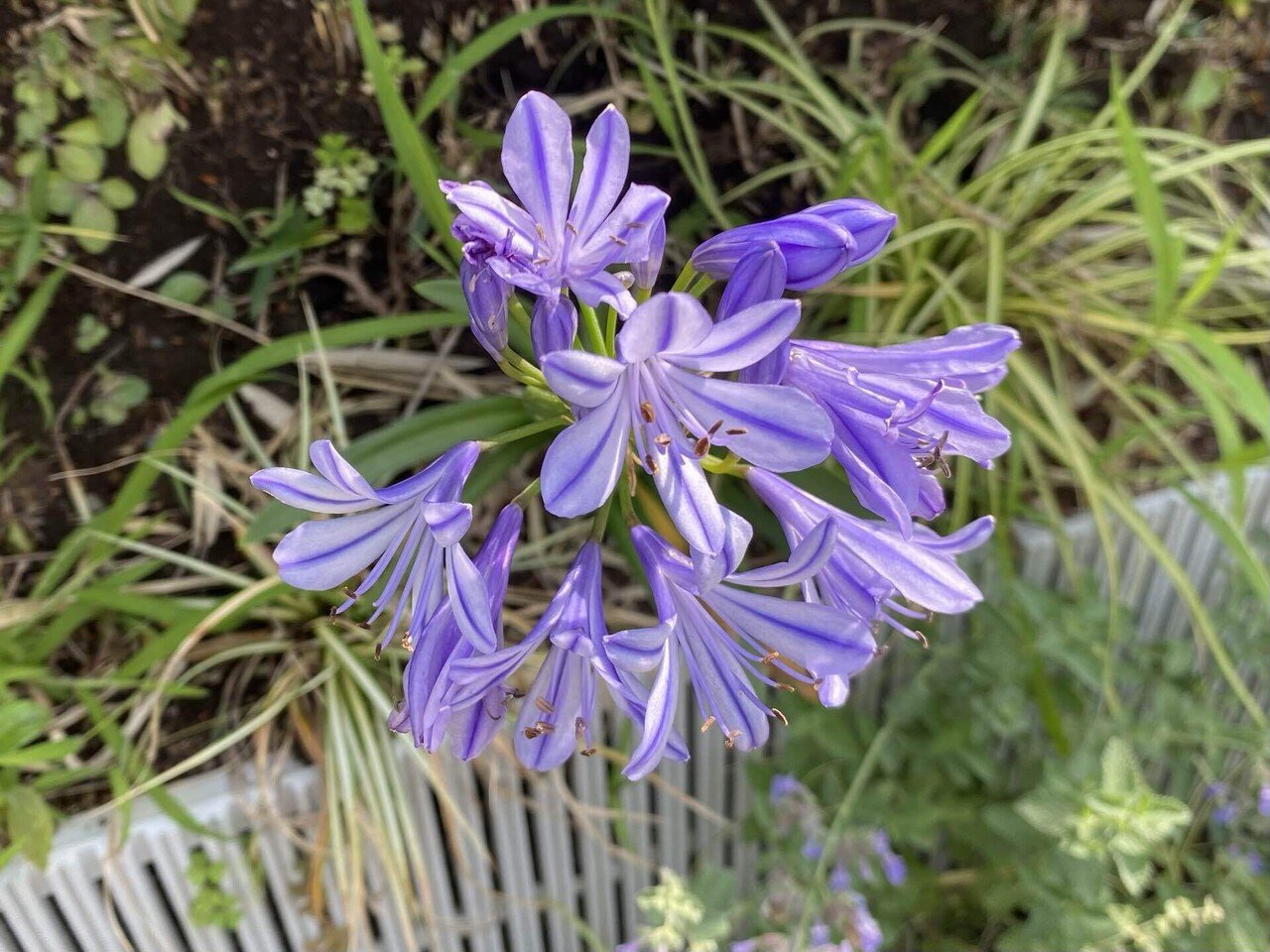 之哲／Yuki Satoru｜note