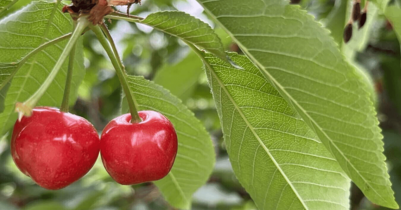 note初投稿からちょうど2年9日経ったということで｜文章を書く練習