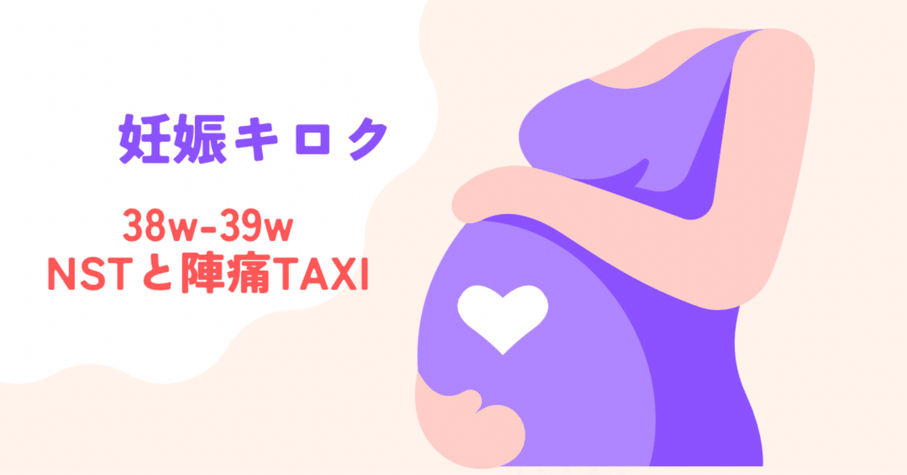 【愛育病院】13、14回目の健診（NST）とマタニティタクシー｜𝐜𝐨(𝑯𝑺𝑷×𝑰𝑵𝑭𝑱)