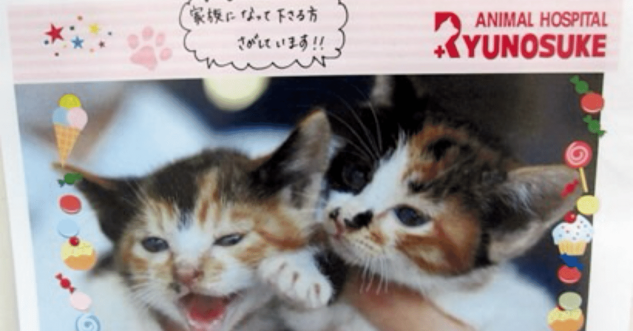 動物の飼養管理(総論)【ネコ不動産】｜鶴上万里生【ネコ不動産】