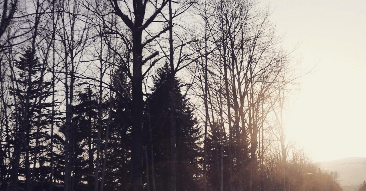 NHKスペシャル「北海道兵、10805人の死」をみて｜小檜山青 Sei KOBIYAMA