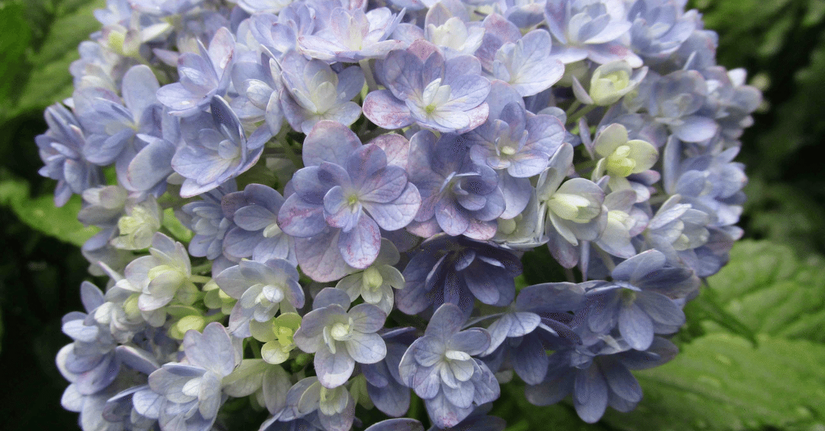 【自己紹介】初めてのnote｜NORIKO