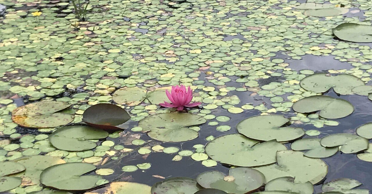 自責で前を向く話｜Kyoko.O