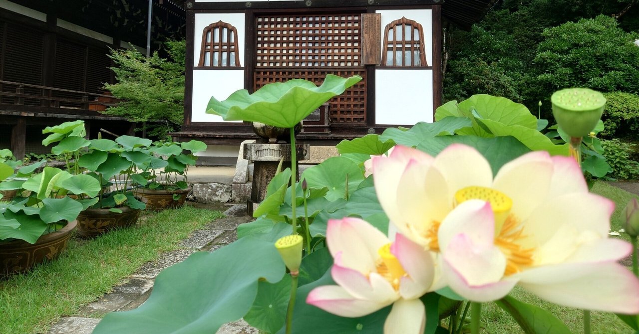 宇治小旅行「Side A」国宝と世界遺産を巡る｜Arie