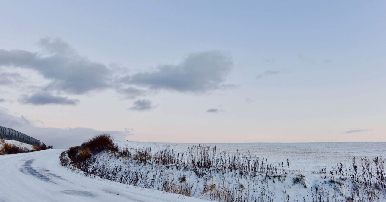 昨日と今日｜murasaki