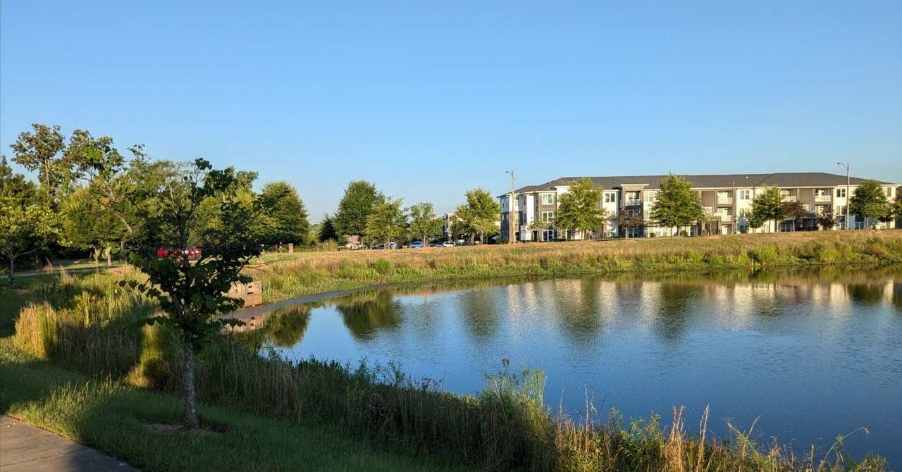 北米の鳥さん｜taka_nasu