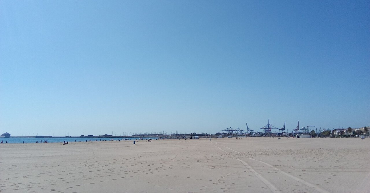 ほぼ毎日ビールを飲んだ6月。｜Koki