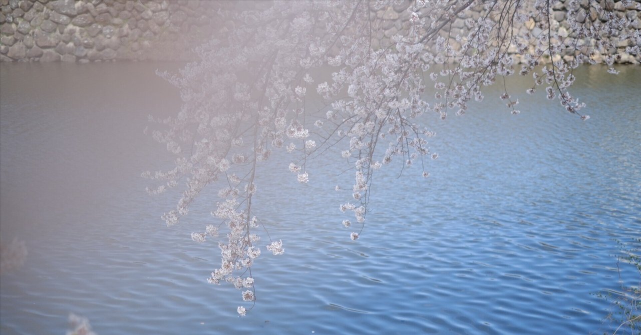 備忘録 日本伝統の暦と文化と神道の結びつき｜ozaki kosuke