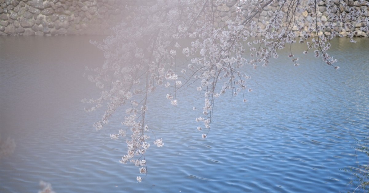 備忘録 日本伝統の暦と文化と神道の結びつき｜ozaki kosuke