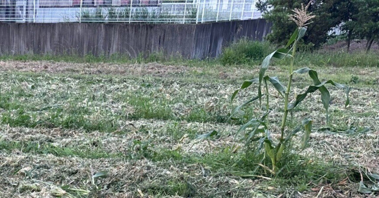 NicePapa 平野 尚志｜note