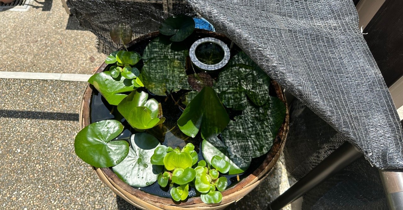 NicePapa 平野 尚志｜note