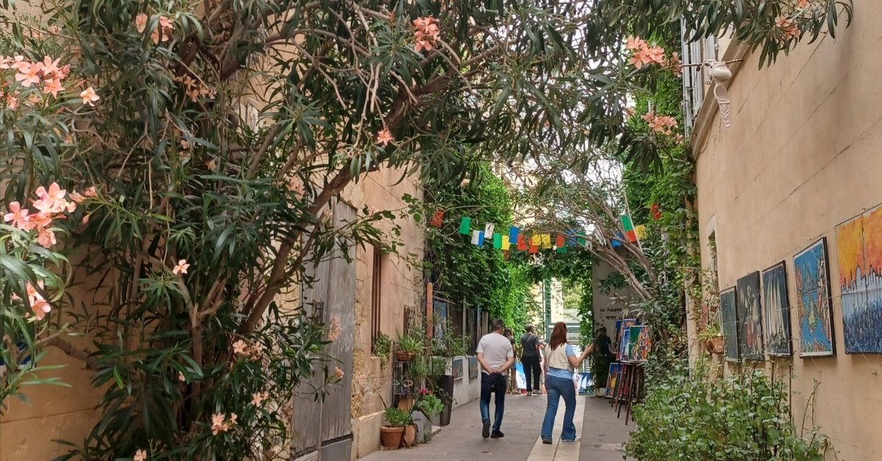 北米獣医師免許試験・備忘録110、 TVEH ｜Yuzu: Vet in Canada