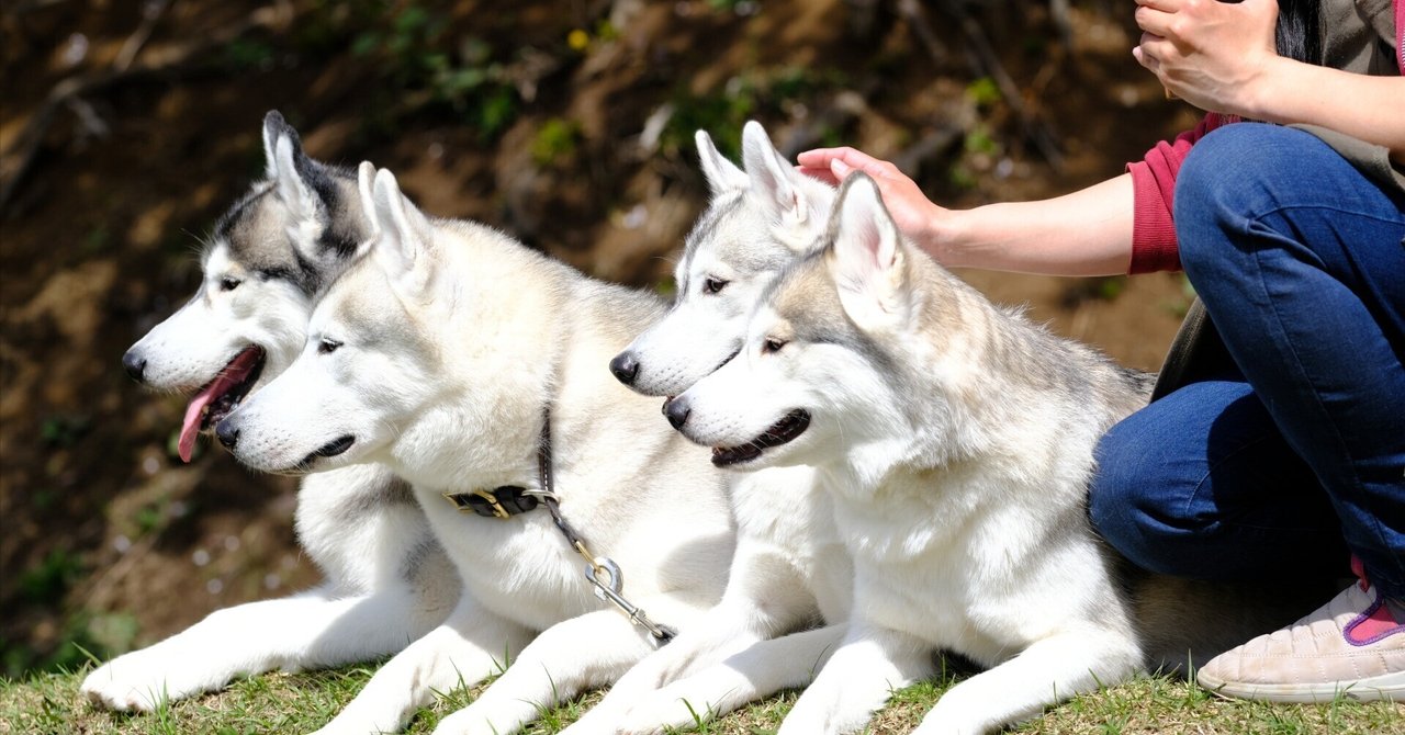 備忘録 新近代史観と真の近現代史観｜ozaki kosuke