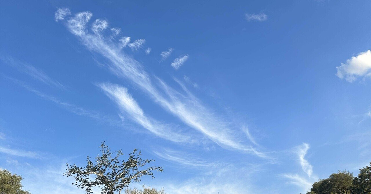 ほんとは分かってほしいだけ｜nanase