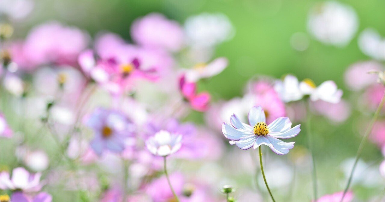 NAVITIME_Tech｜note