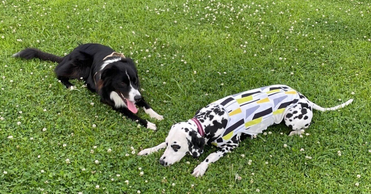 たった今は、すぐ過去になる。｜Akemi Maruyama／コピーライター