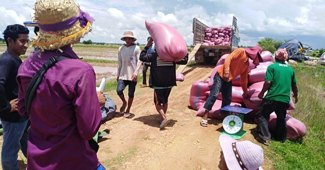 農家の人は、ナチュラルマッチョ｜AGRIBUDDY🇰🇭🇮🇳カンボジア発のフィンテックベンチャー